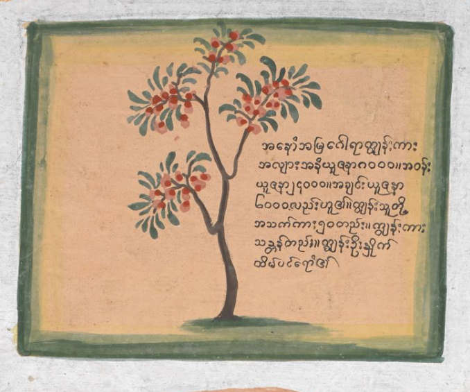 Tứ đại châu